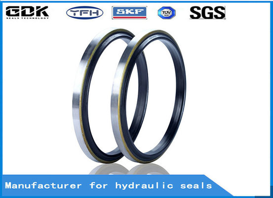 Bearing Dust Wiper Seals DKB/DKBI NBR PU Mechanical Seals Easy Installation